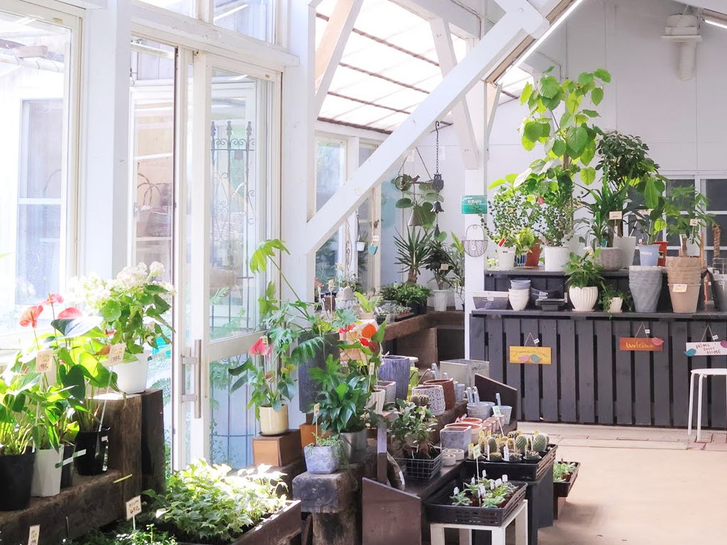 2022-10-003 - 蒲郡市のガーデンセンター フラワーショップ 蒲郡園芸ガーデン